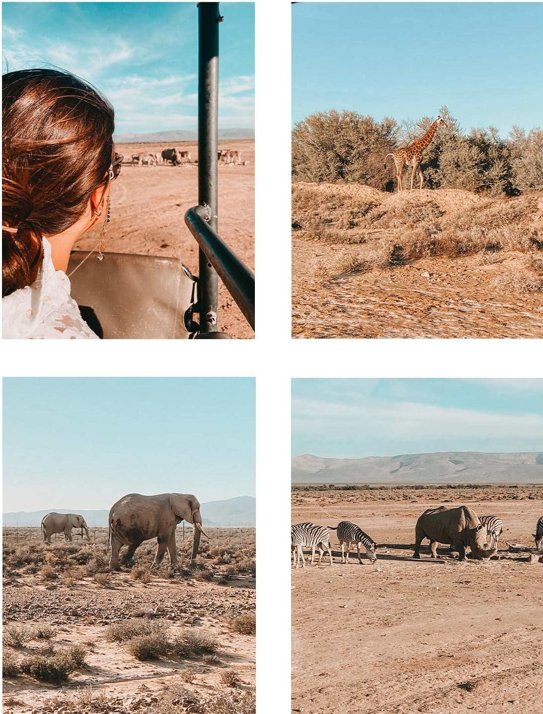 Cape Town & Garden Route - Genia Maria Karasek - Schauspielerin